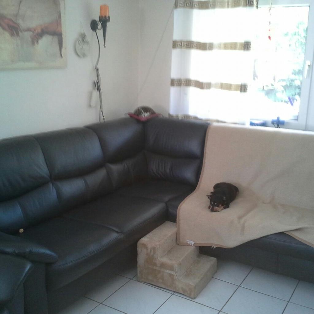 Echt Ledercouch xxl+ Sessel xxl Federkern in 41540 Dormagen for €550.00 ...