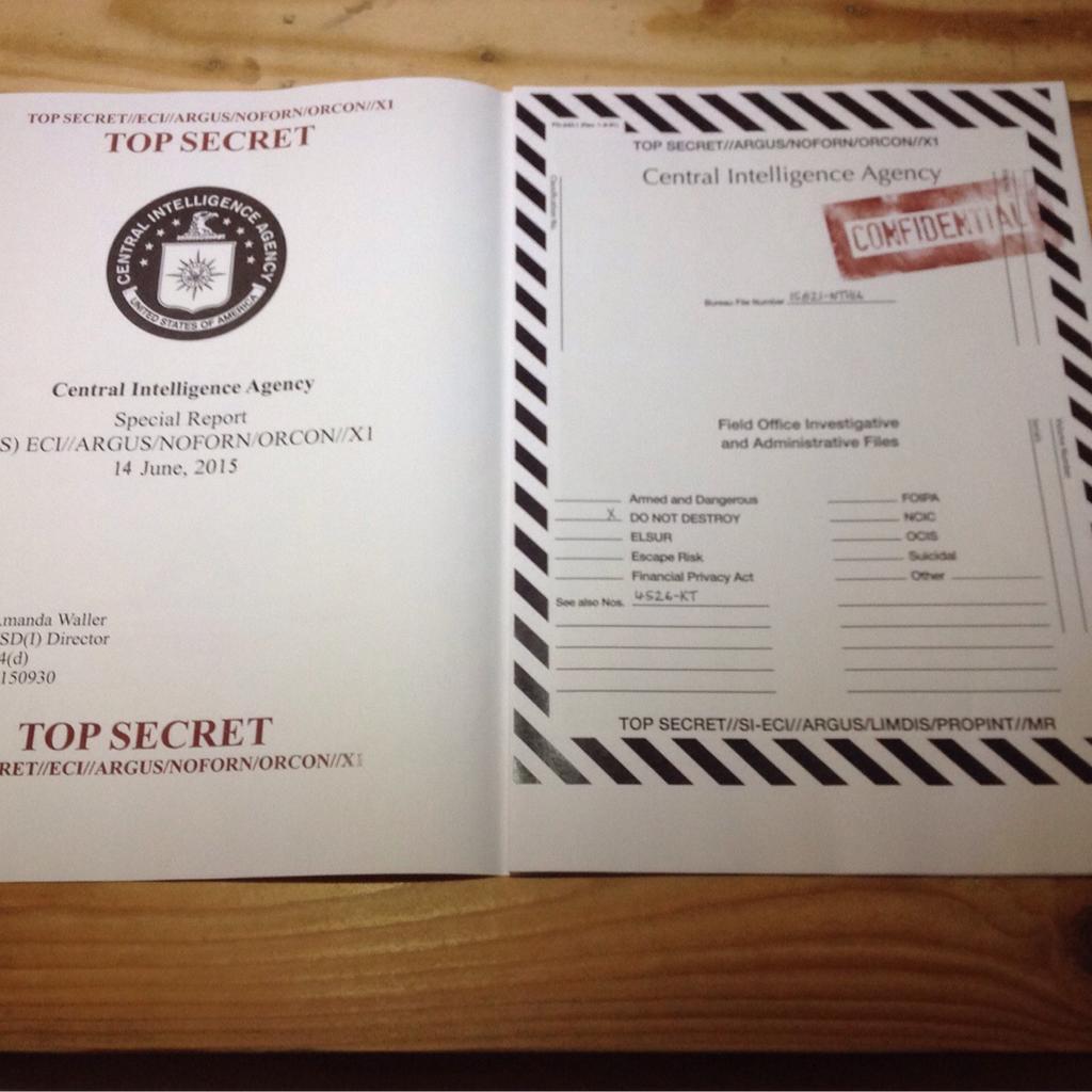 Suicide squad CIA file on members in Wolverhampton für £ 20,00 zum ...