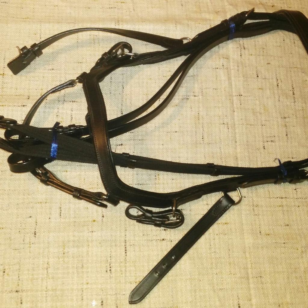 Trense anatomisch Micklem Nachbau WB Neu in 61267 Neu-Anspach für 85,00 ...