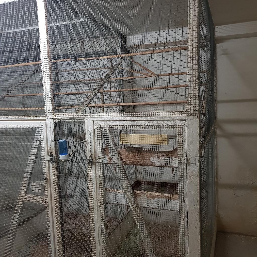 Vogel Volieren in 34123 Kassel for free for sale | Shpock