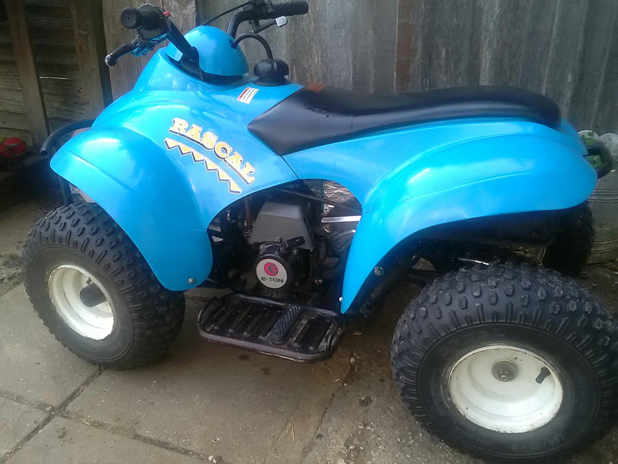 Eton rascal 50 cc quad bike 2 stroke. in GU1 Guildford for £250.00 for ...
