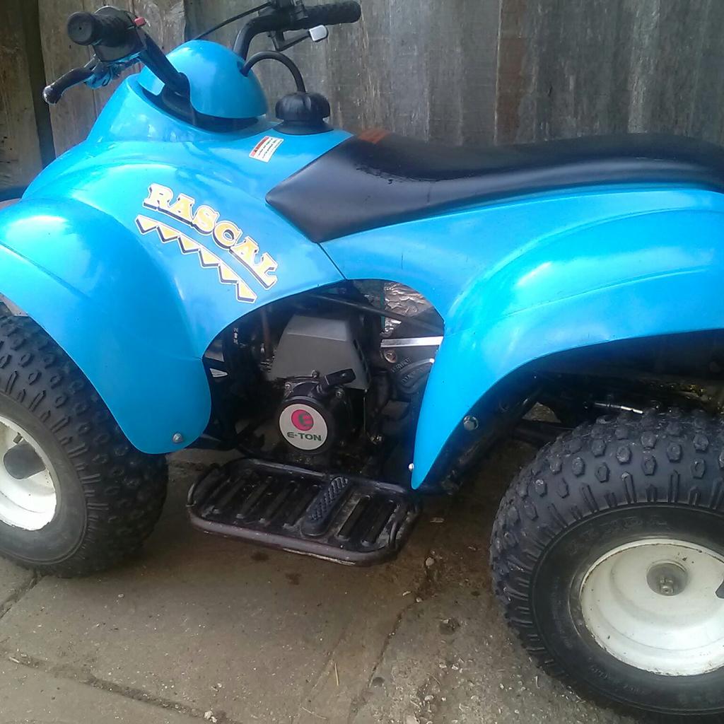 Eton rascal 50 cc quad bike 2 stroke. in GU1 Guildford für 250,00 £ zum ...