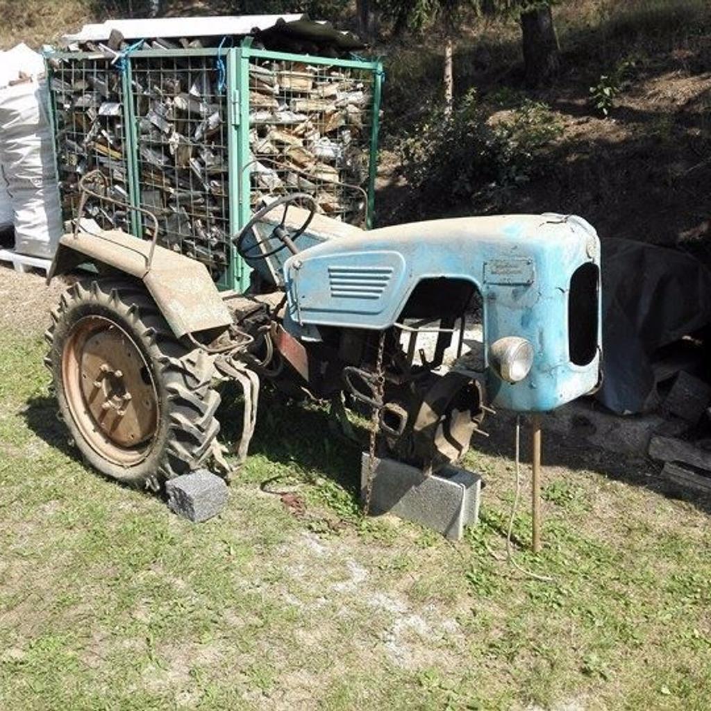 Warchalowski wt 20 "1Besitz" in 3962 Unterlembach for €550.00 for sale ...