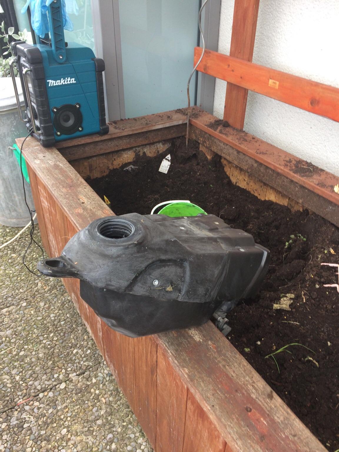 Rieju MRT Tank mir Hahn in 6971 Hard für € 20,00 zum Verkauf | Shpock AT