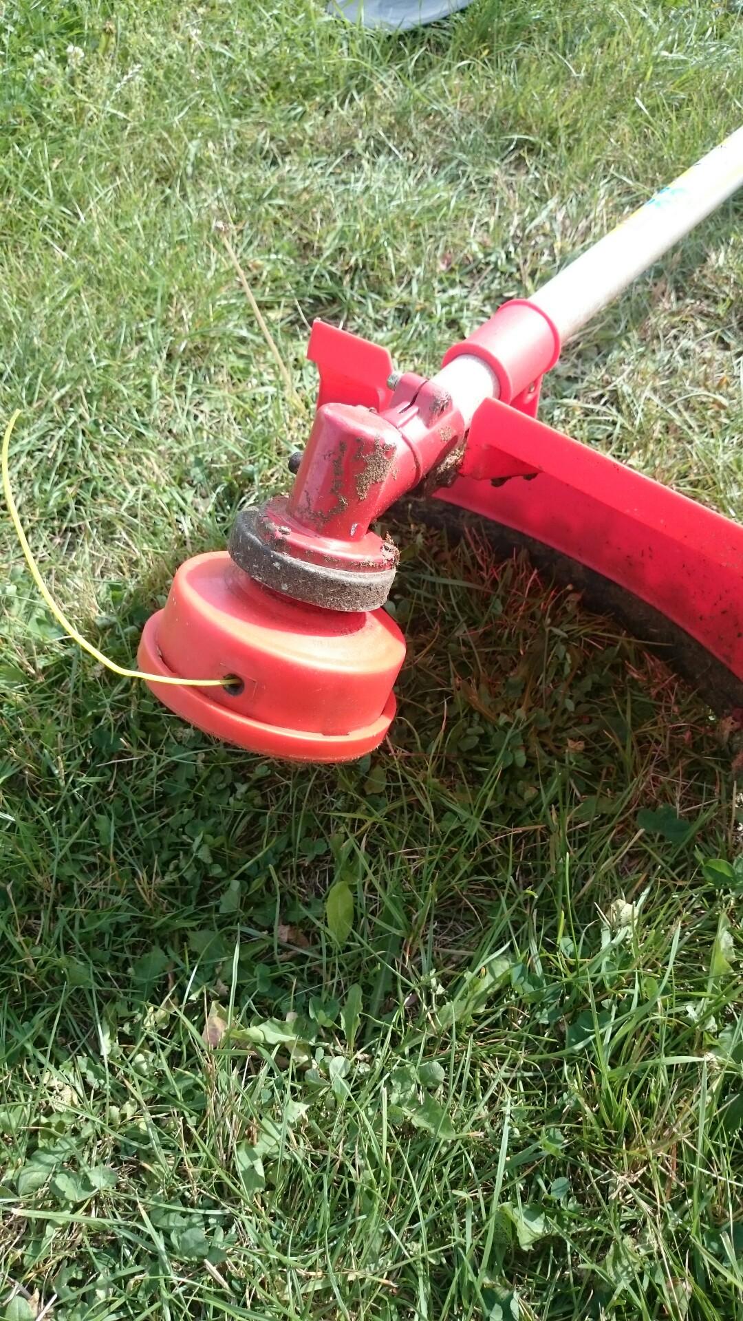 Motorsense Rotfuchs Bc 49 in 66981 Münchweiler an der Rodalb für 65,00 € zum Verkauf | Shpock DE