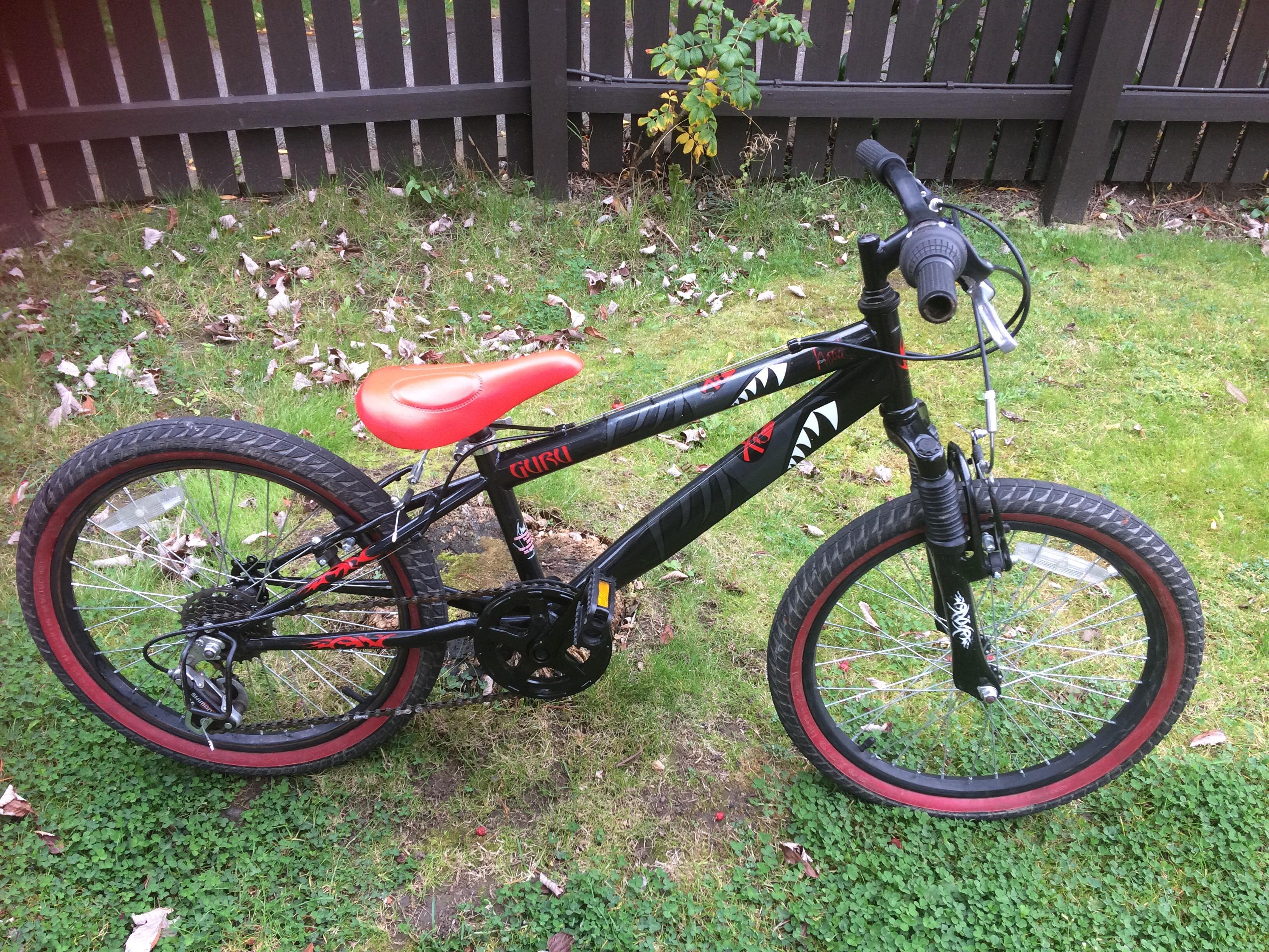 GURU HOOD BOYS MOUNTAIN BIKE 20 INCH WHEELS in TS25 Carew für £ 30,99 ...