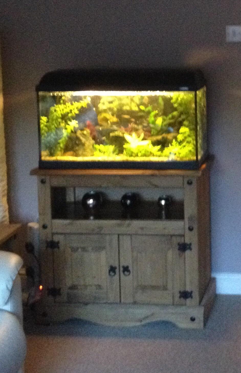3ft 90L Fish tank with stand + accessories in RM9 Dagenham für £ 70,00 ...