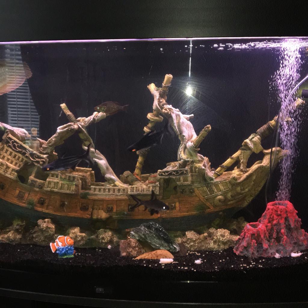Large Aquarium Pirate Ship in RM13 Rainham für £ 70,00 zum Verkauf ...