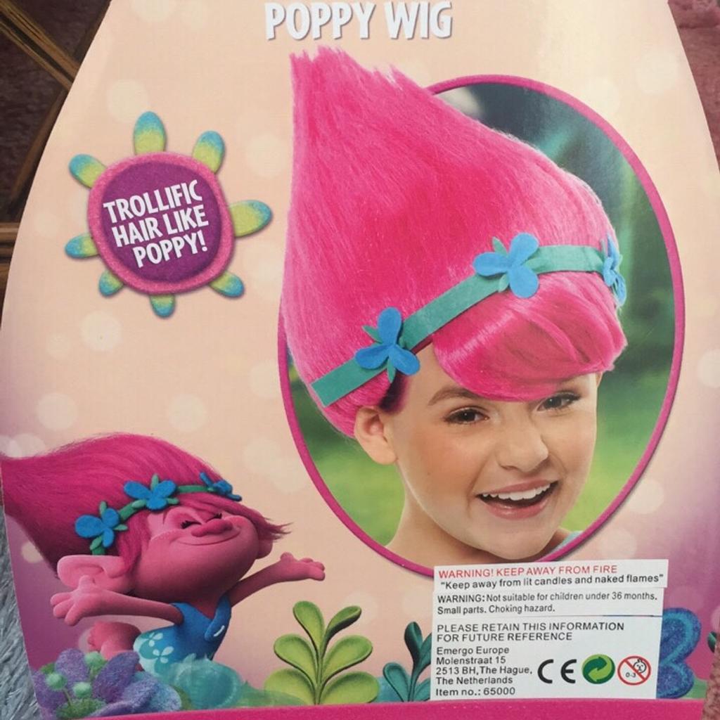Trolls Poppy Wig ... New in NG6 Nottingham für 4,00 £ zum Verkauf ...