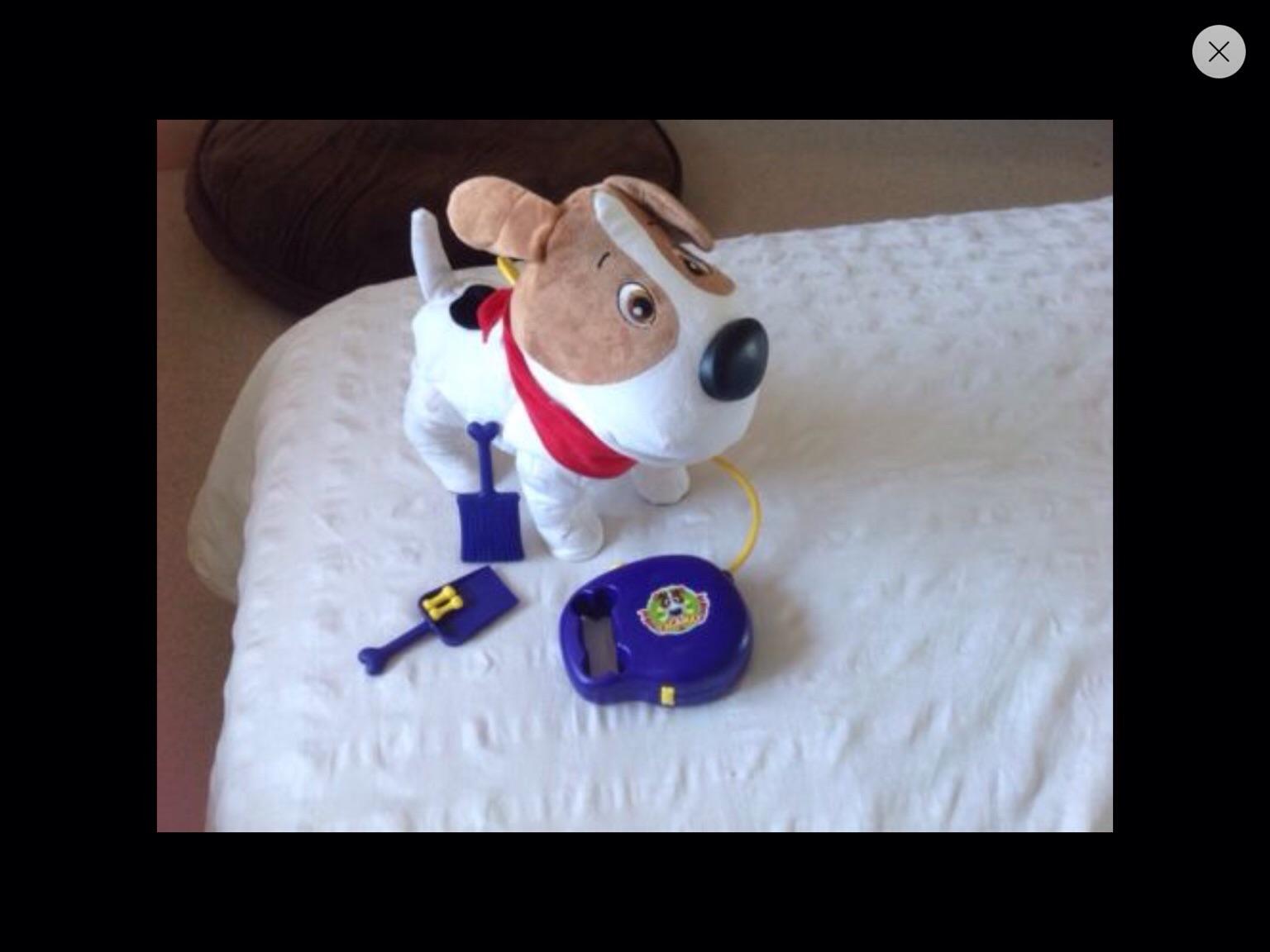 Caca max walking barking pooping dog in Sonning for £12.00 for sale ...