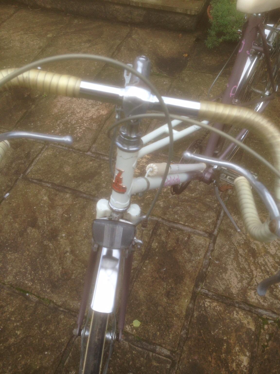 Raleigh panache bike in S25 Anston für 40,00 £ zum Verkauf | Shpock DE