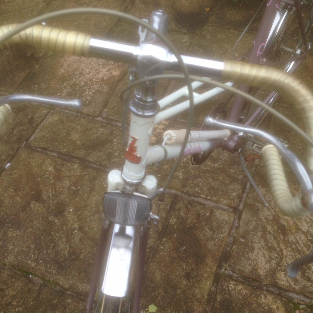 Raleigh panache bike in S25 Anston für 40,00 £ zum Verkauf | Shpock DE