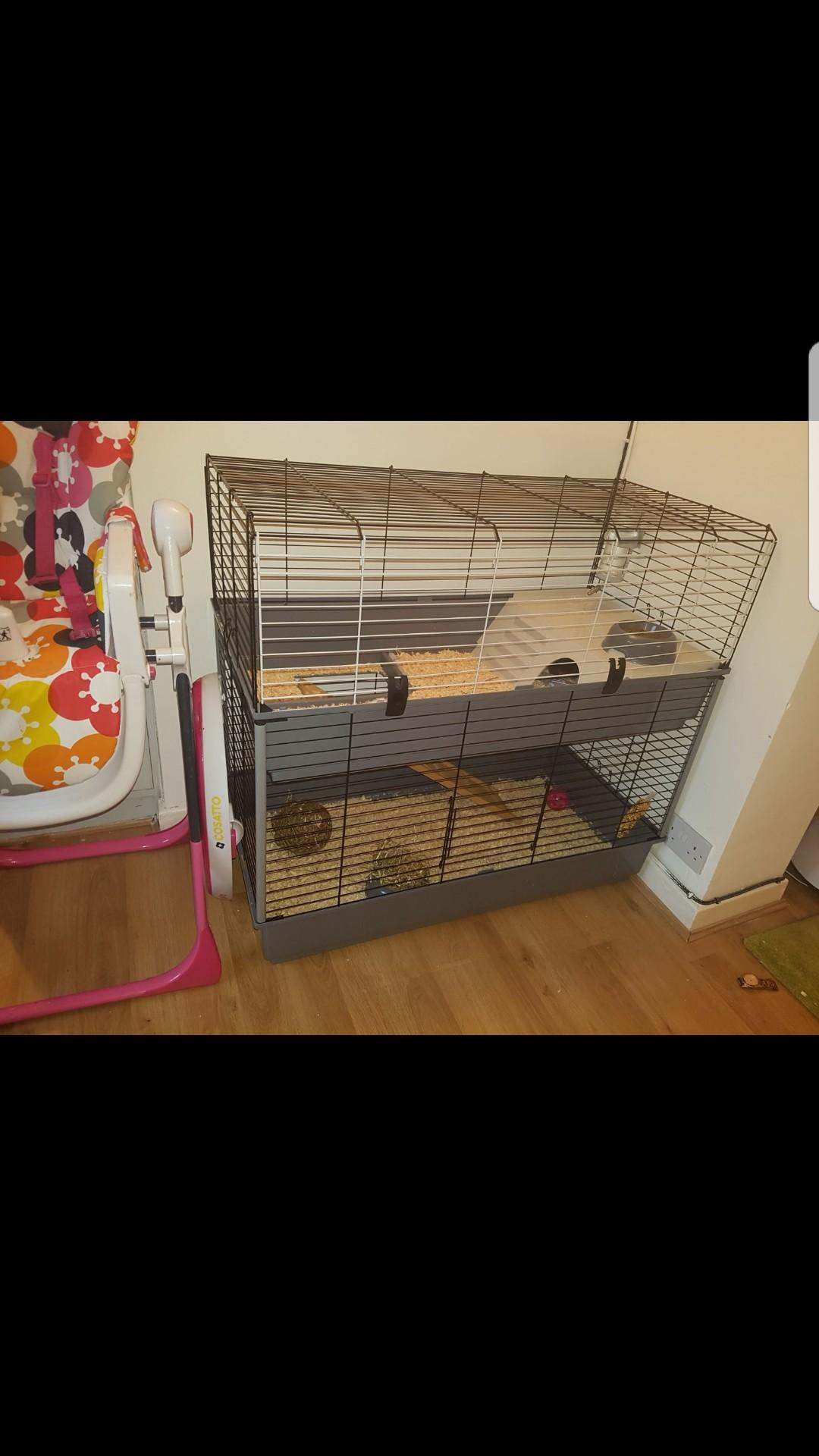 Rabbit and 2 storie cage in WS3 Pelsall for £40.00 for sale | Shpock