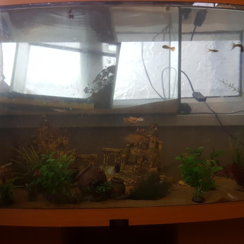 180 litre Juwel fish tank in BD2 Bradford für £ 110,00 zum Verkauf ...