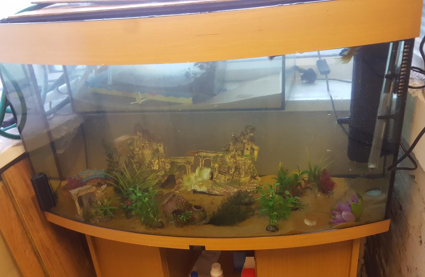 180 litre Juwel fish tank in BD2 Bradford für £ 110,00 zum Verkauf ...