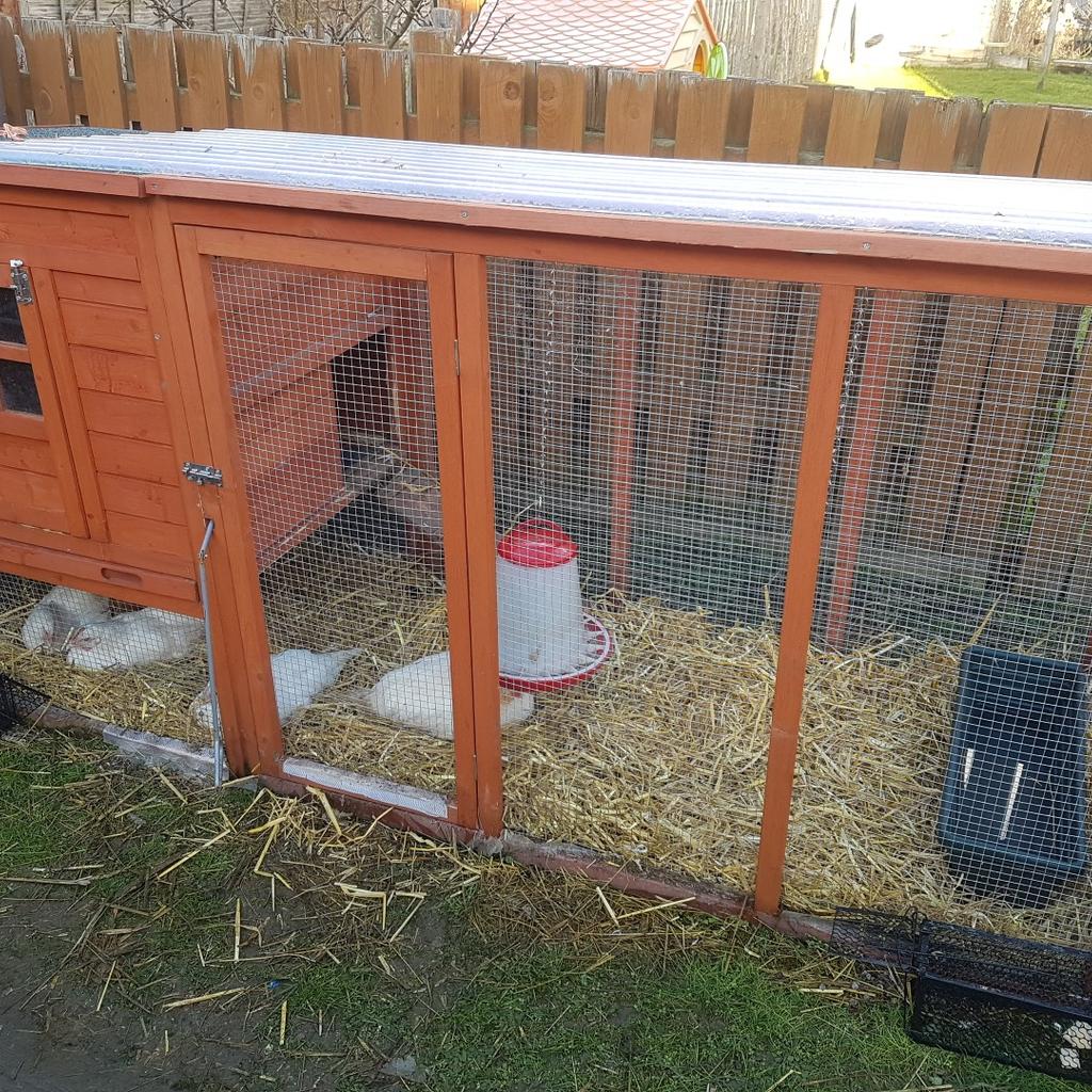 Rabbit hatch chicken coop in LU4 Luton für 100,00 £ zum Verkauf | Shpock DE