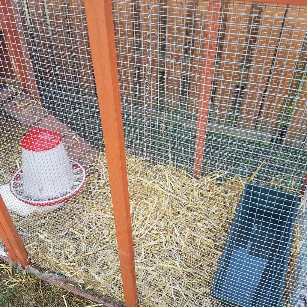 Rabbit hatch chicken coop in LU4 Luton für 100,00 £ zum Verkauf | Shpock DE