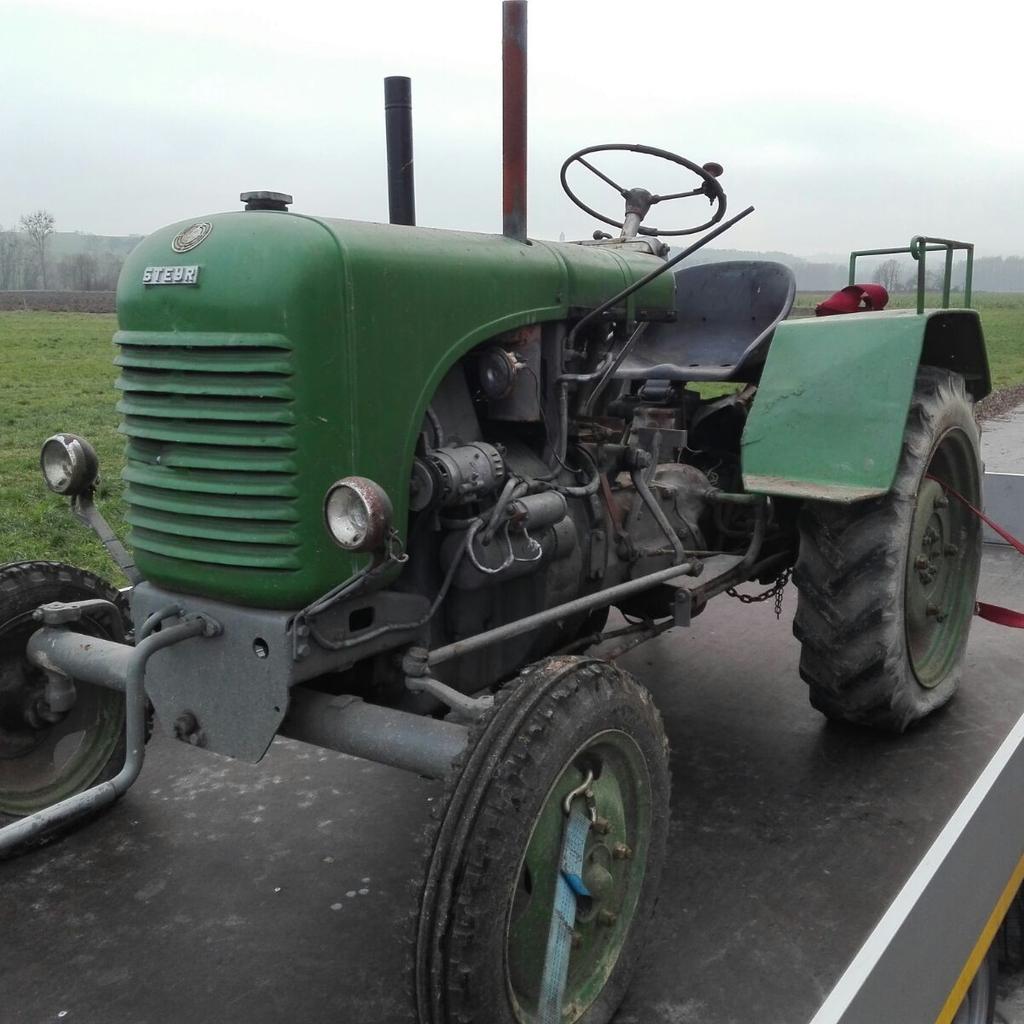 Steyr t80 in 3950 Gemeinde Großdietmanns für € 1.550,00 zum Verkauf ...
