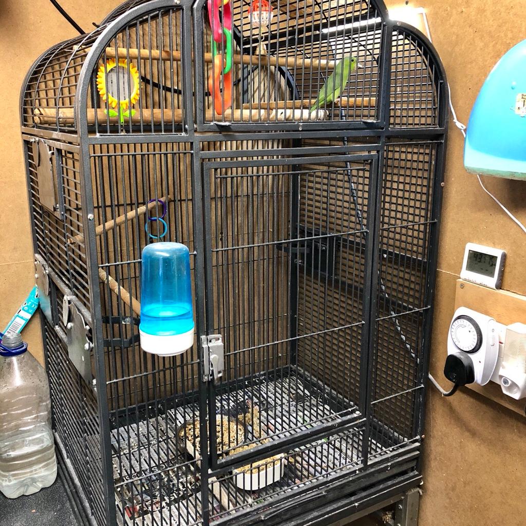 Parrotlet complete breeding setup in TN15 Malling für £ 200,00 zum ...