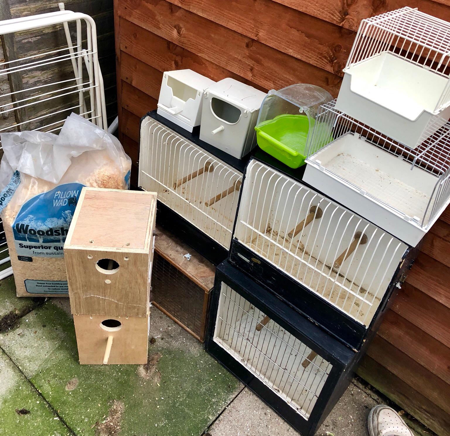 Parrotlet complete breeding setup in TN15 Malling für £ 200,00 zum ...