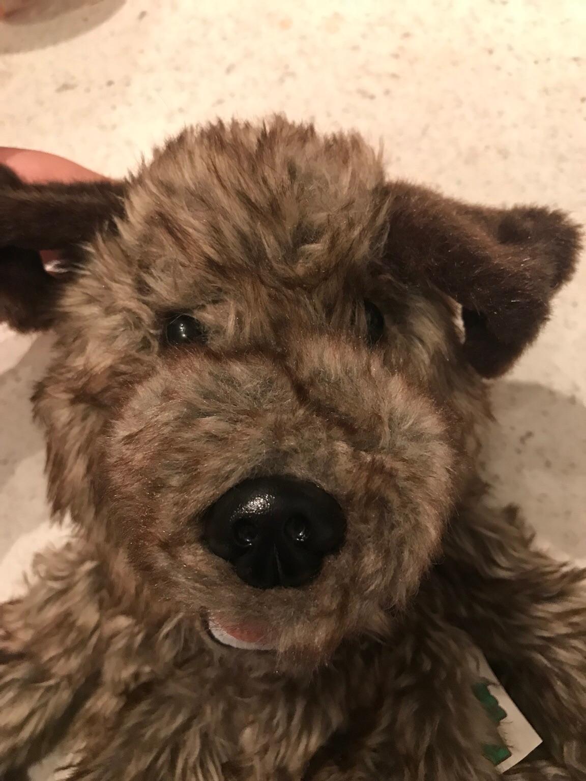 Hacker T Dog Puppet in SE9 Greenwich für 10,00 £ zum Verkauf | Shpock DE