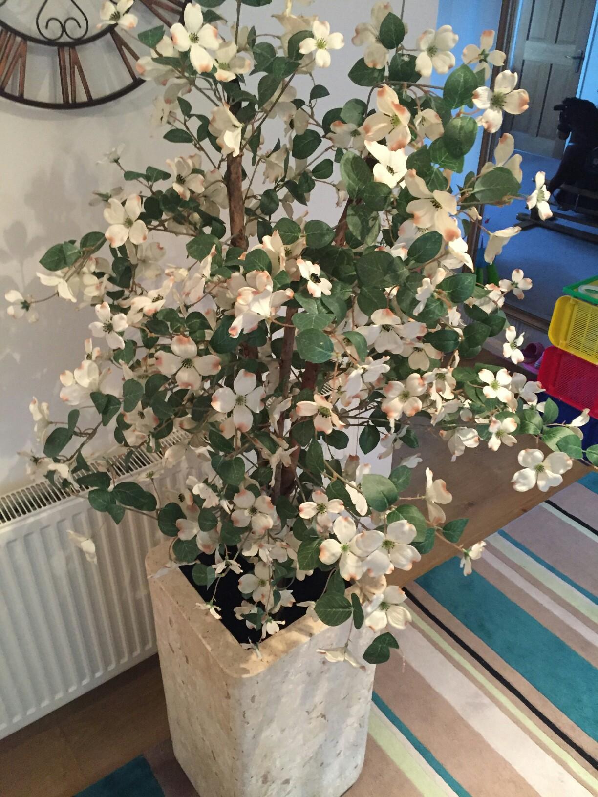 plastic tree plant in Caterham Valley für 40,00 £ zum Verkauf | Shpock DE