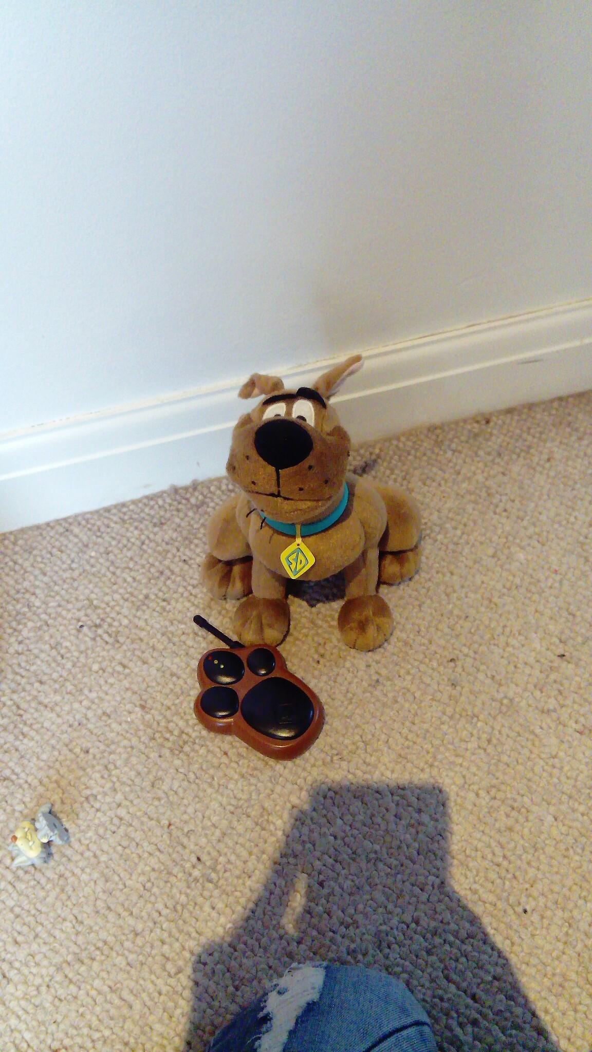 Hide and seek scooby doo in S60 Rotherham for £5.00 for sale | Shpock