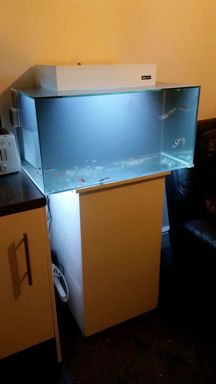 Aqua one aquavis 130 fish tank aquarium in N16 London for £180.00 for ...