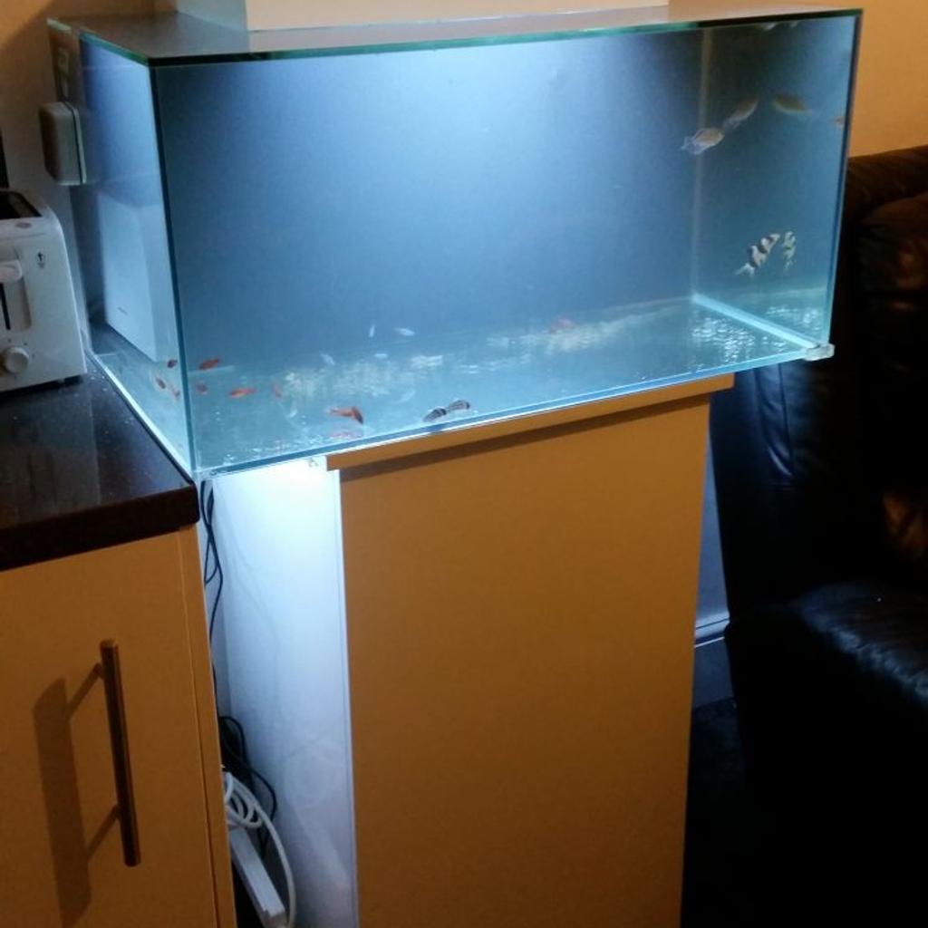 Aqua one aquavis 130 fish tank aquarium in N16 London for £180.00 for ...