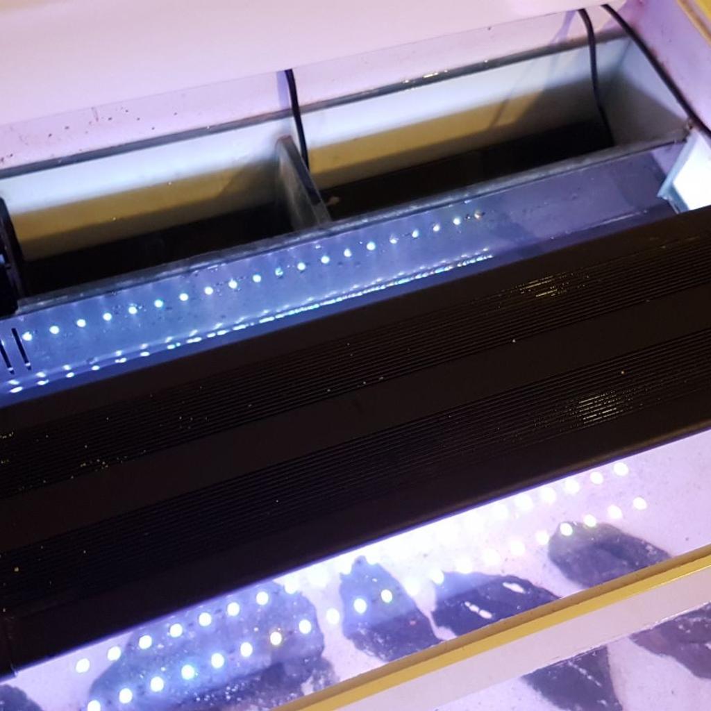 Aqua one aquavis 130 fish tank aquarium in N16 London for £180.00 for ...