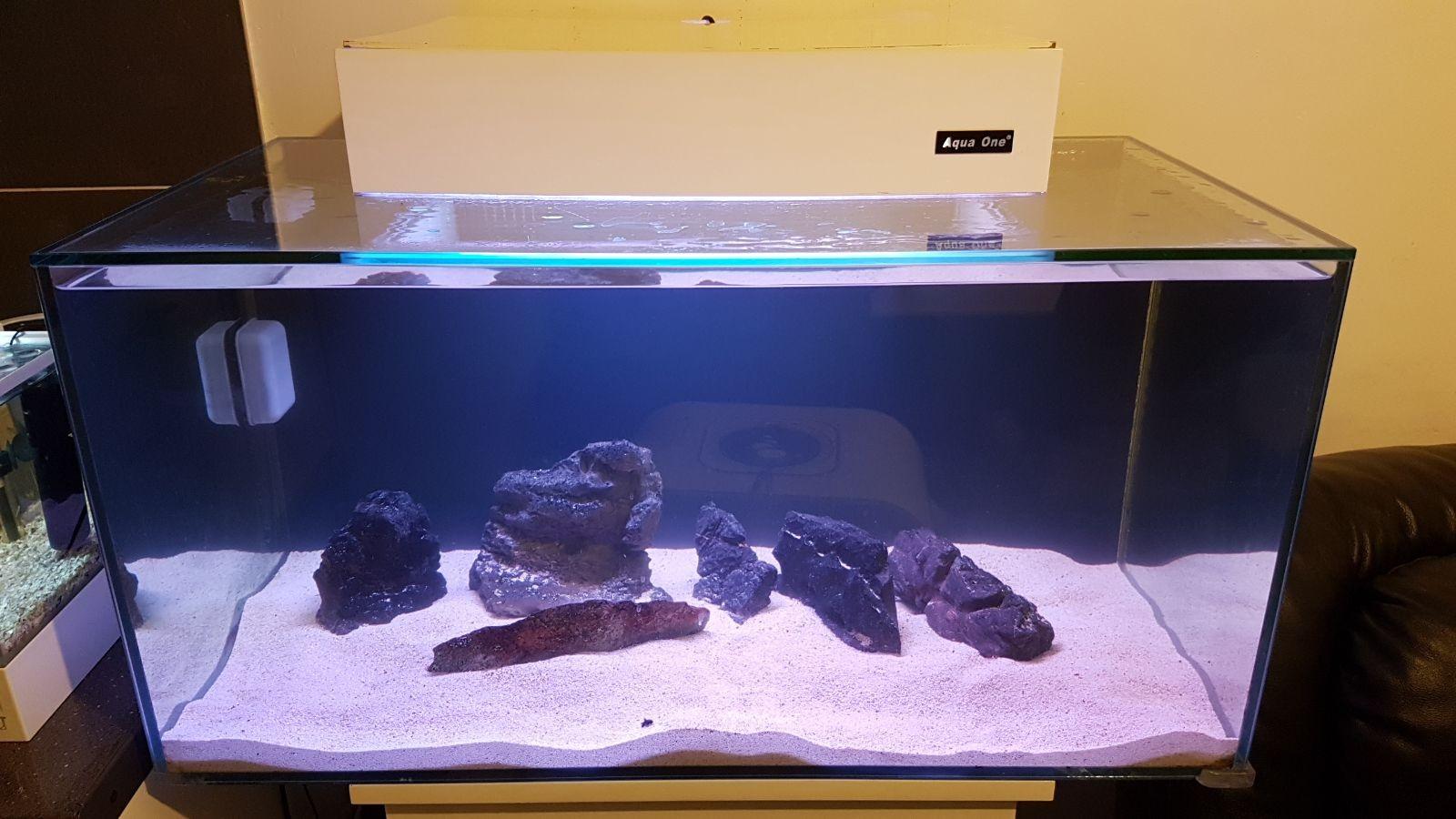 Aqua one aquavis 130 fish tank aquarium in N16 London for £180.00 for ...