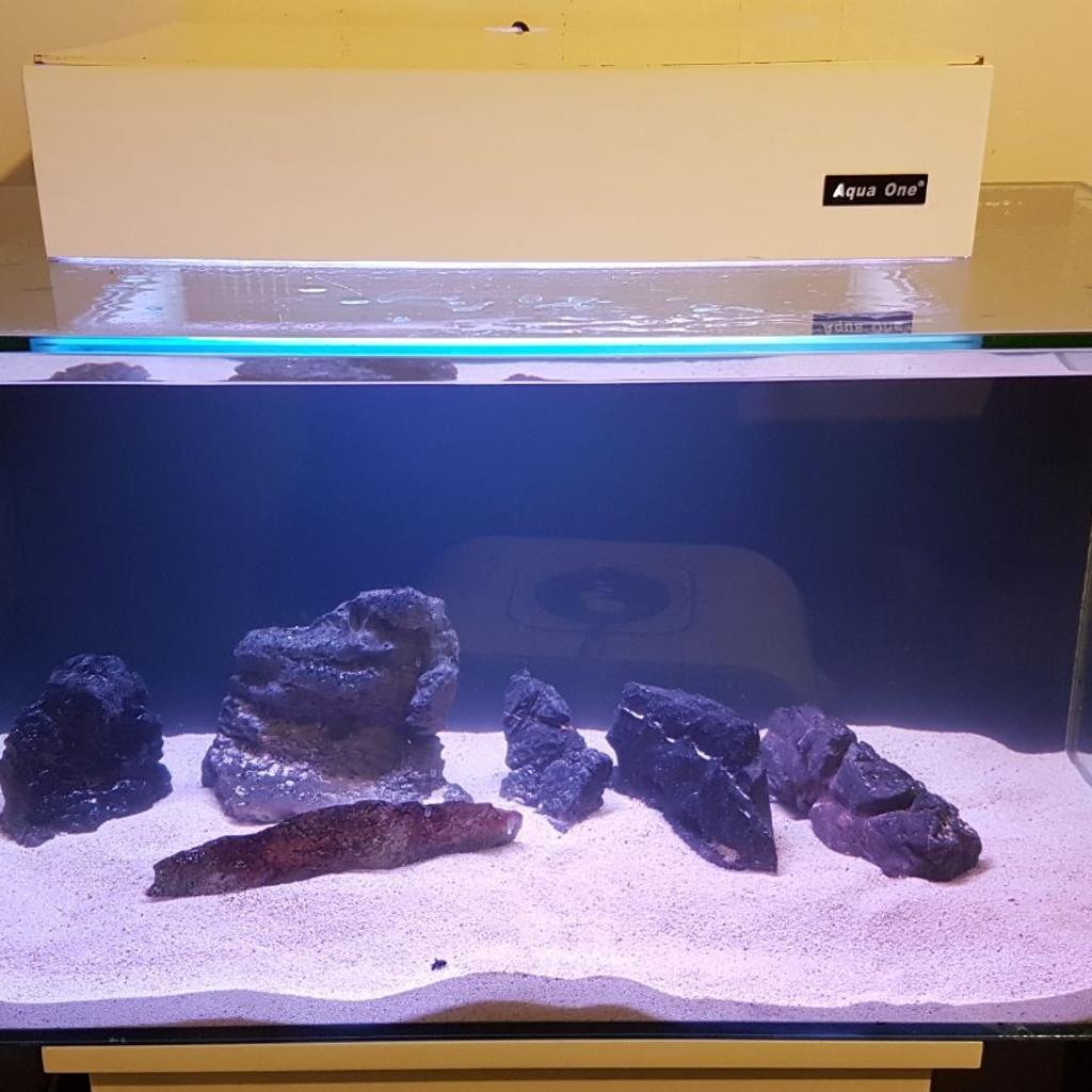 Aqua one aquavis 130 fish tank aquarium in N16 London for £180.00 for ...