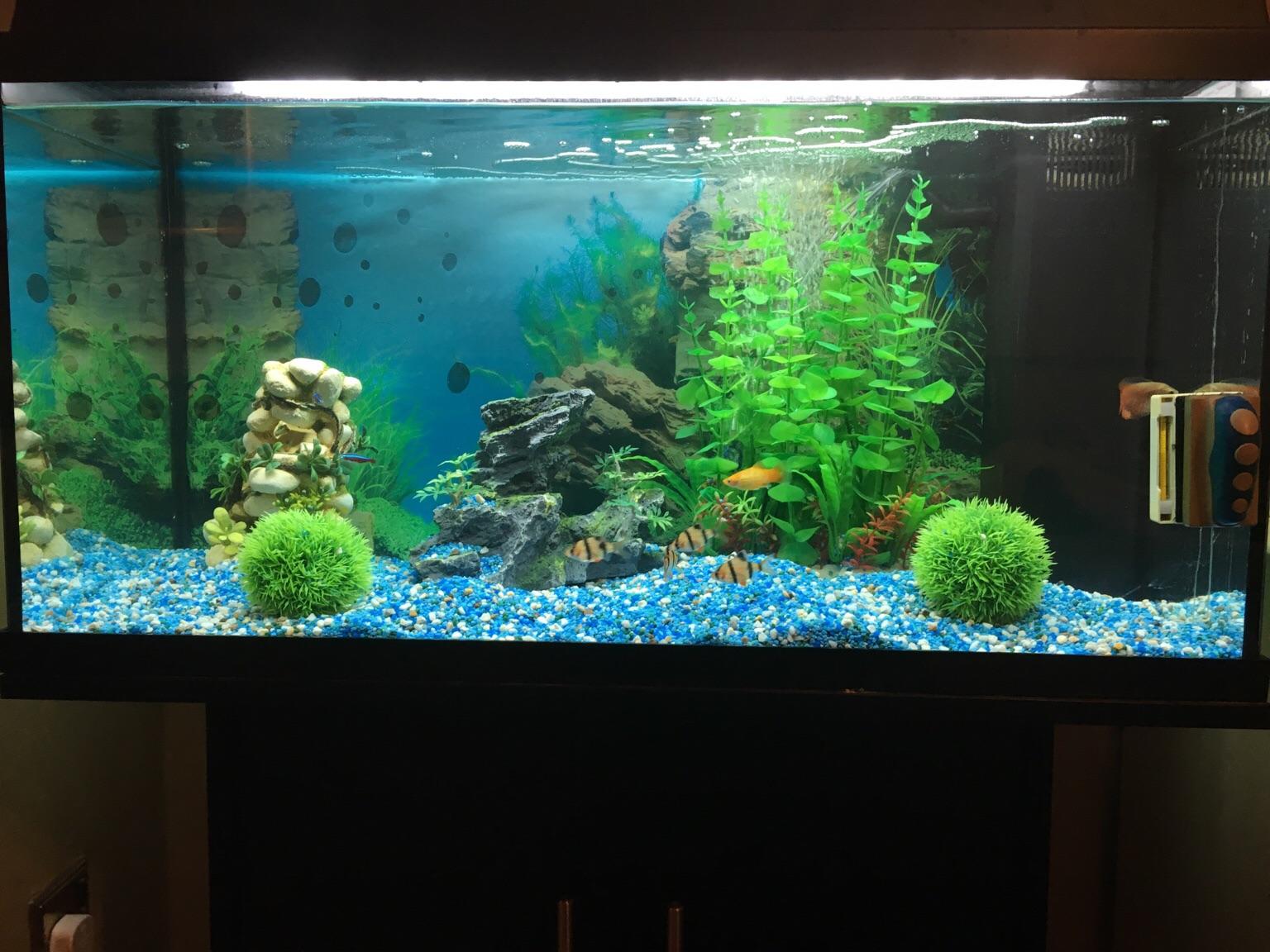 Beautiful Jewel Primo 110L fish tank in London Borough of Bromley für £ ...
