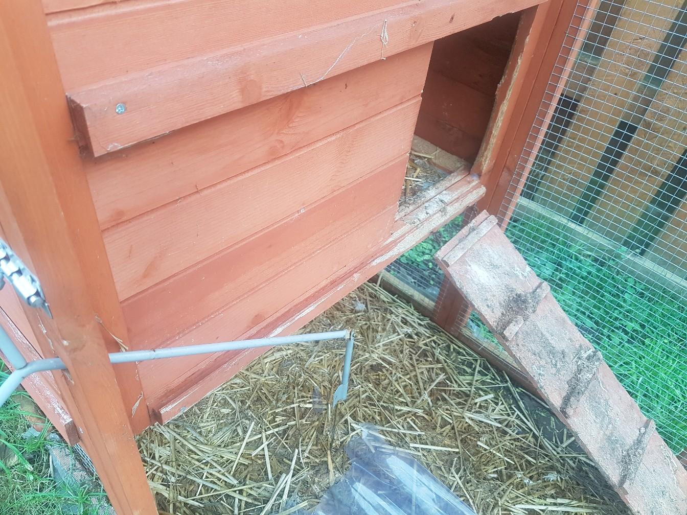 Rabbit hatch chicken coop in LU4 Luton für 100,00 £ zum Verkauf | Shpock DE