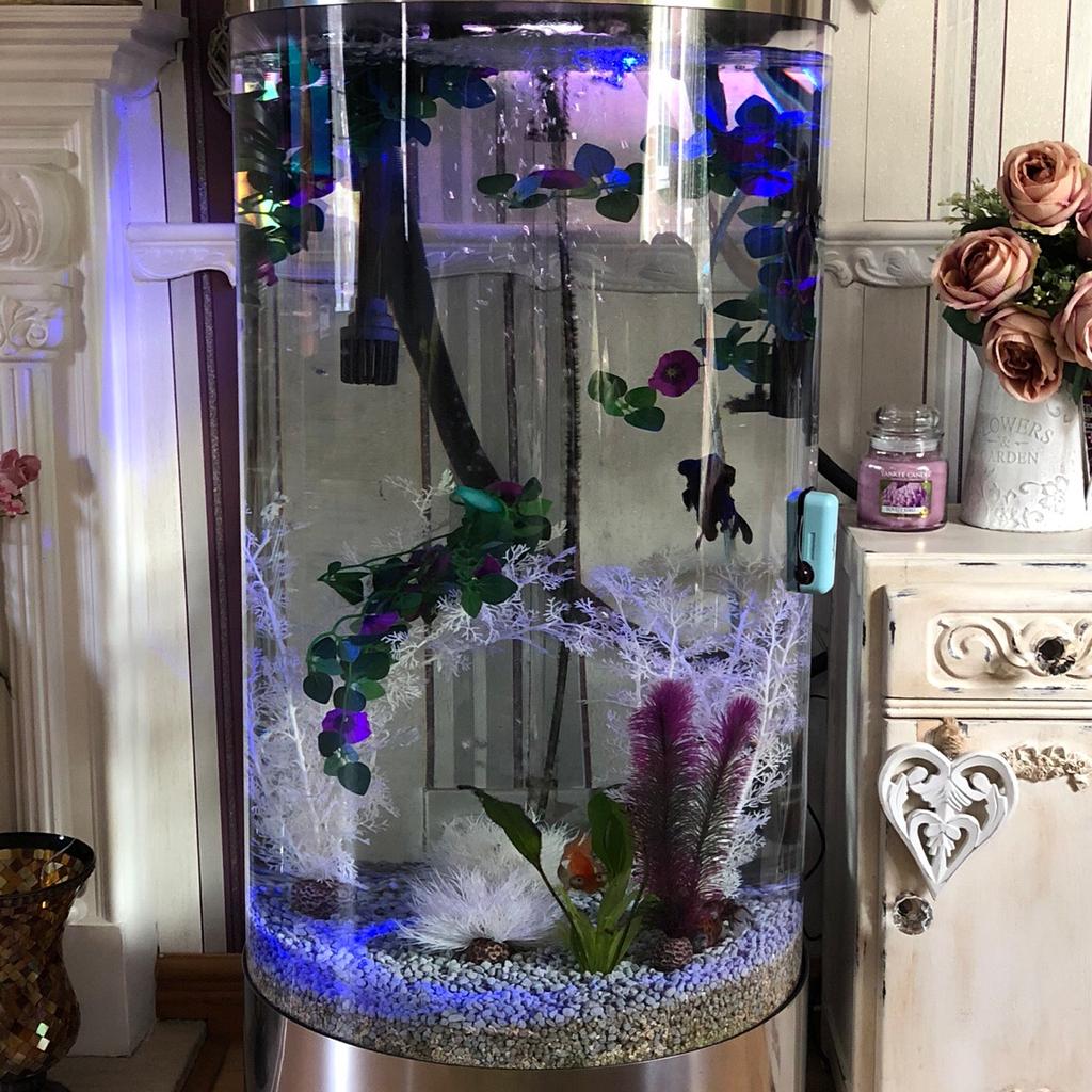 268 ltr column aquarium, complete set up in CW1 Crewe for £500.00 for ...