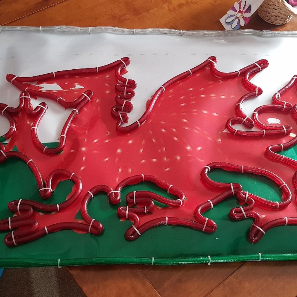 Welsh dragon rope light in Flint für 10,00 £ zum Verkauf | Shpock DE