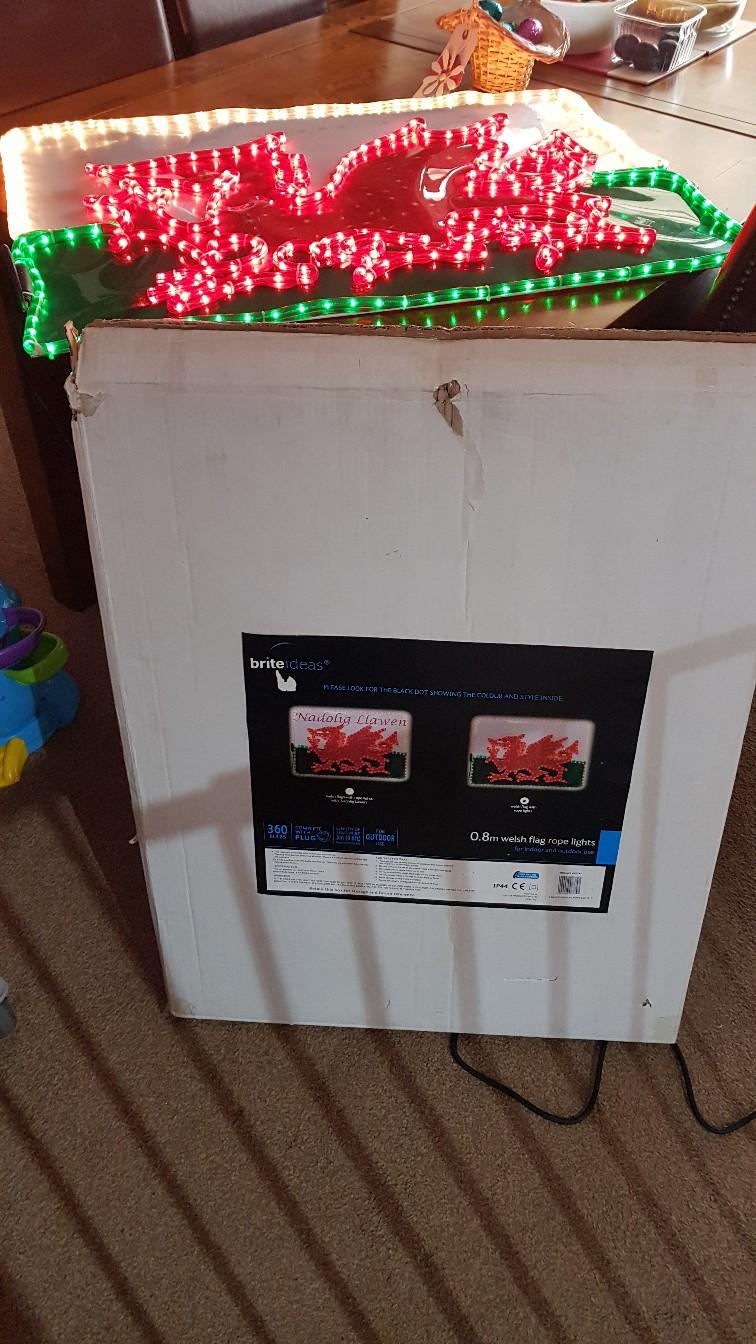 Welsh dragon rope light in Flint für 10,00 £ zum Verkauf | Shpock DE