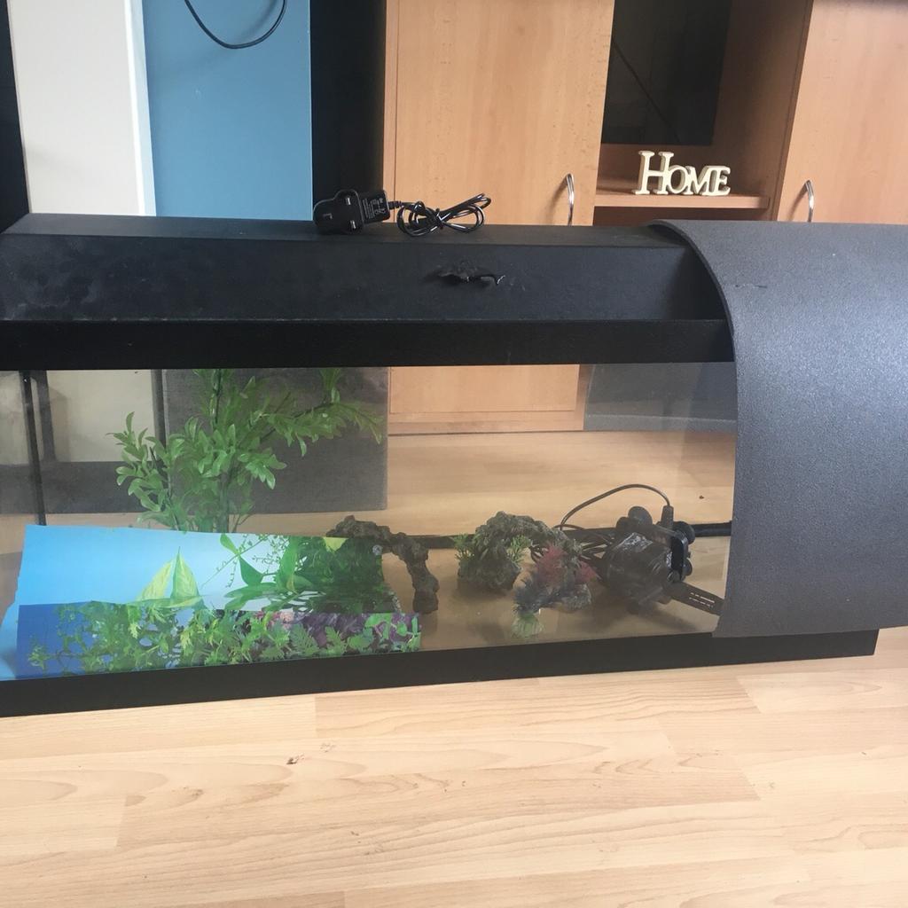 Fish tank in M23 Manchester für 80,00 £ zum Verkauf | Shpock DE