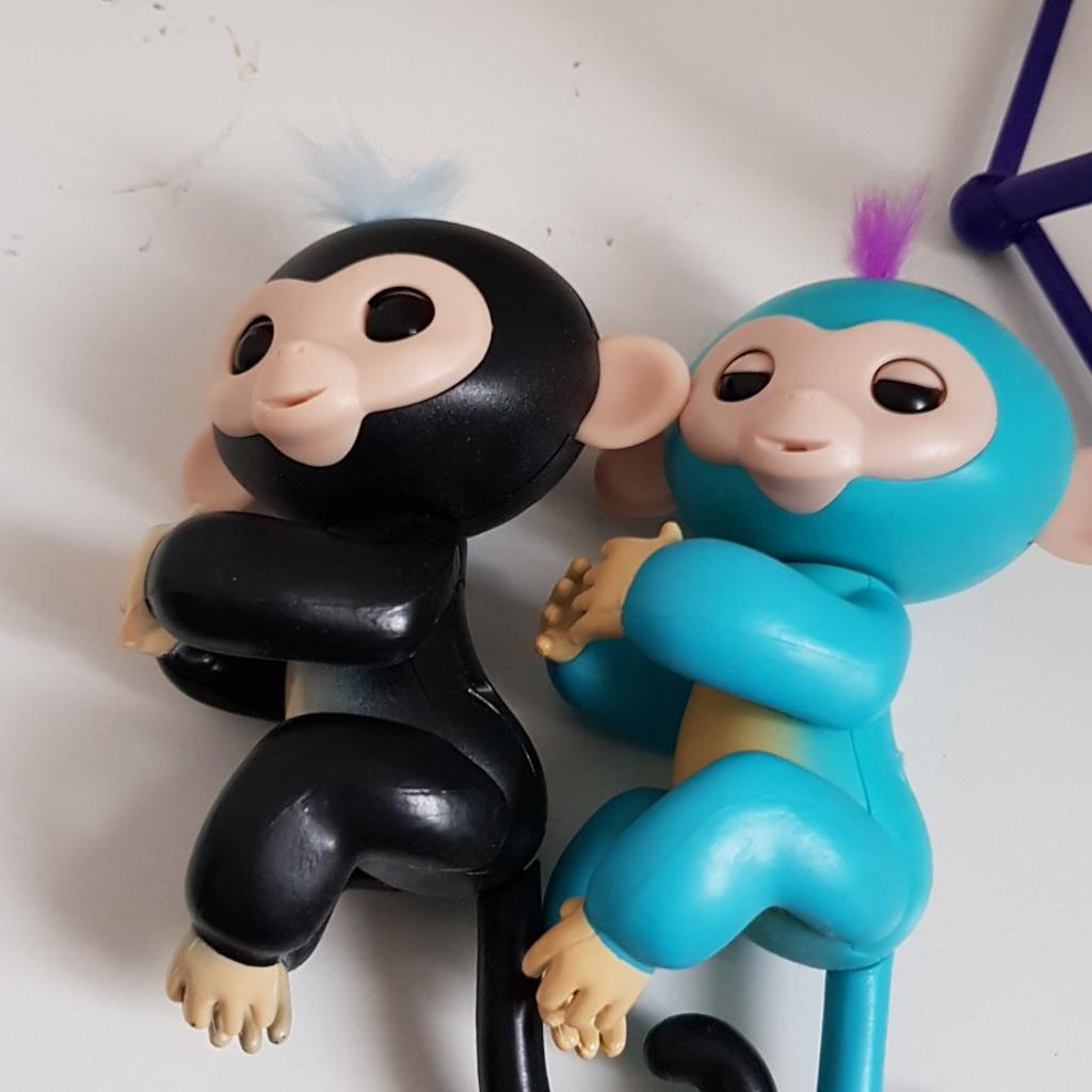 Fingerlings in DE24 Derby for £8.00 for sale | Shpock