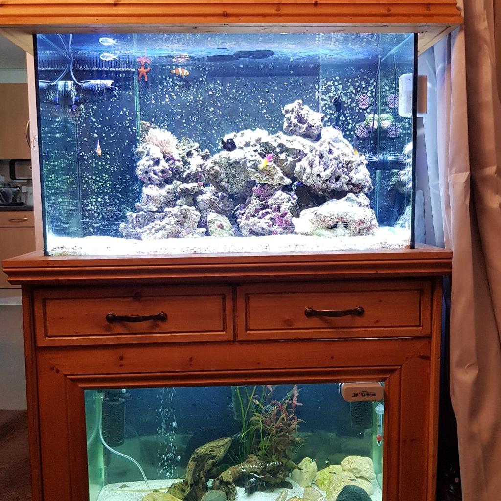Marine Fish Tank Complete Setup in SG2 Stevenage für 500,00 £ zum ...