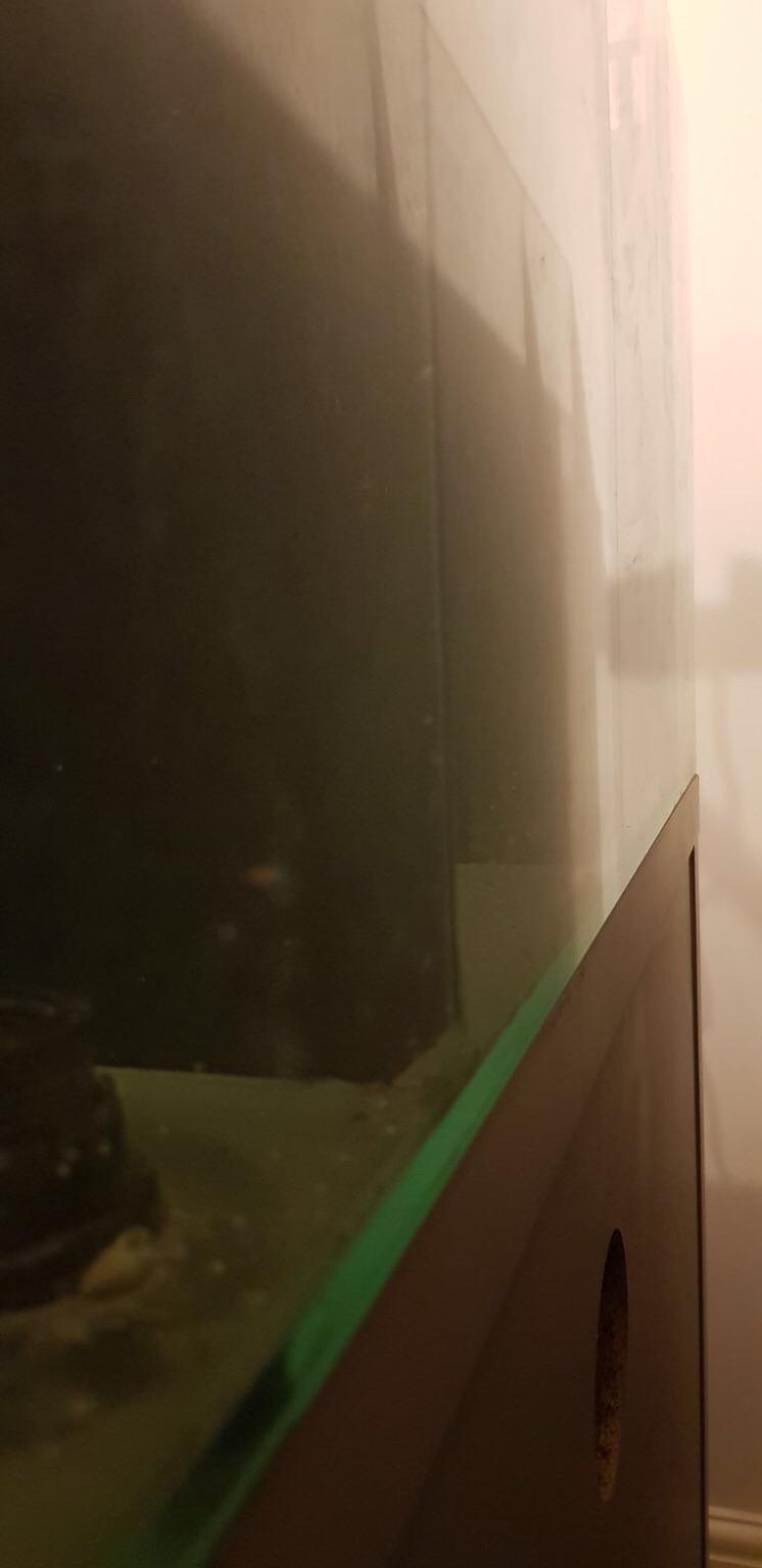 Fluval m90 aquarium and LED strip light in HD4 Kirklees für £ 200,00 ...