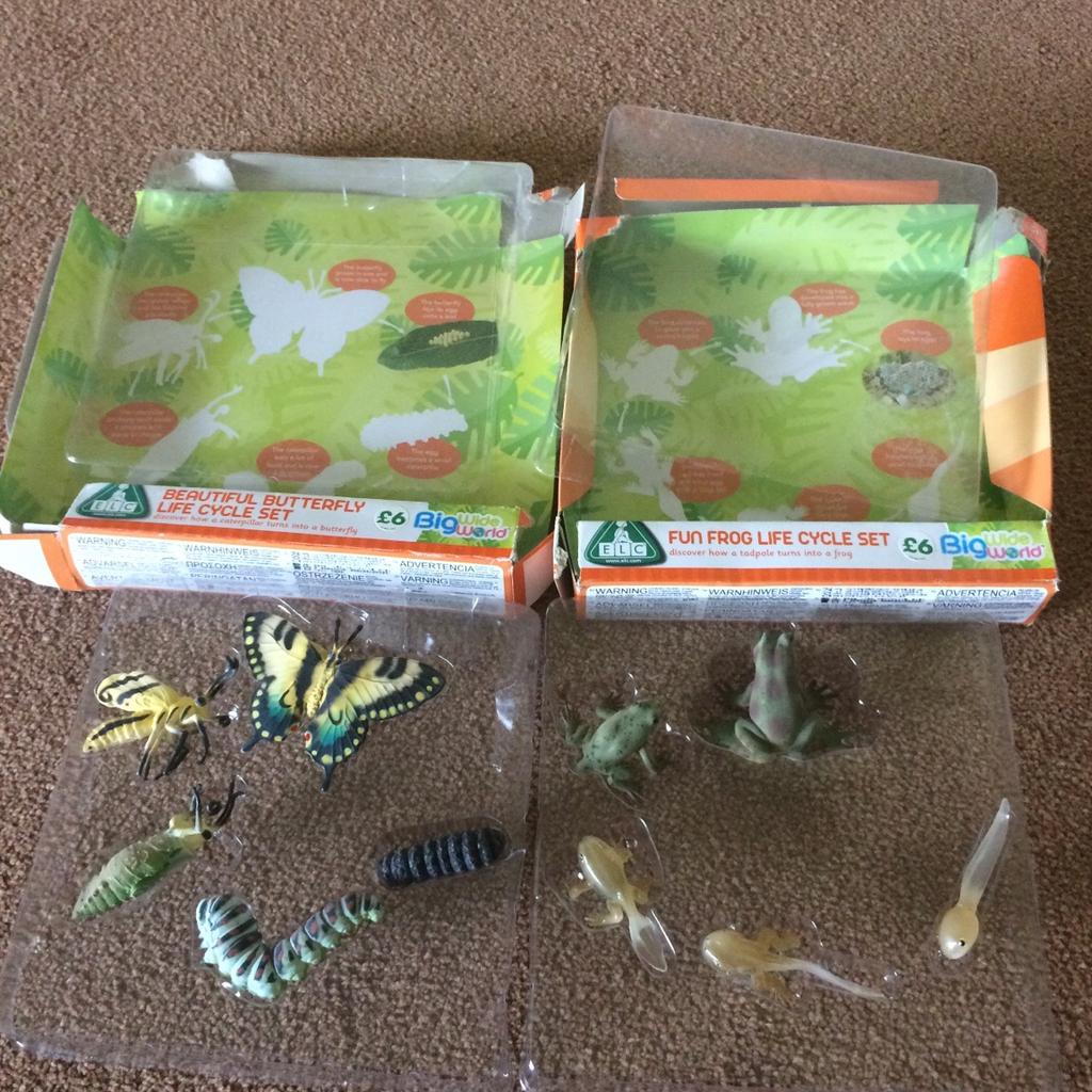 Butterfly frog life cycle set insects animals in DY5 Dudley für 7,00 ...