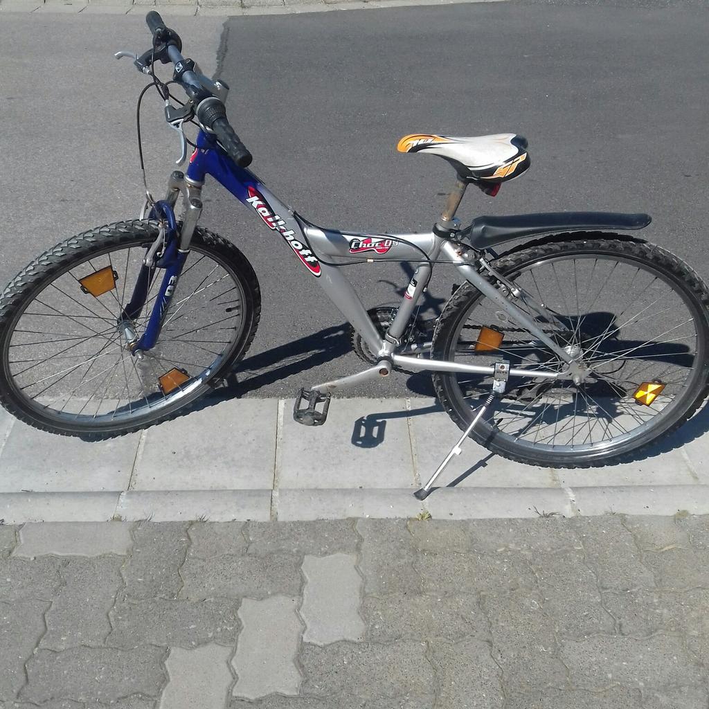 Fahrradanhänger Zoll in 92286 Rieden für 50,00 € zum Verkauf | Shpock DE