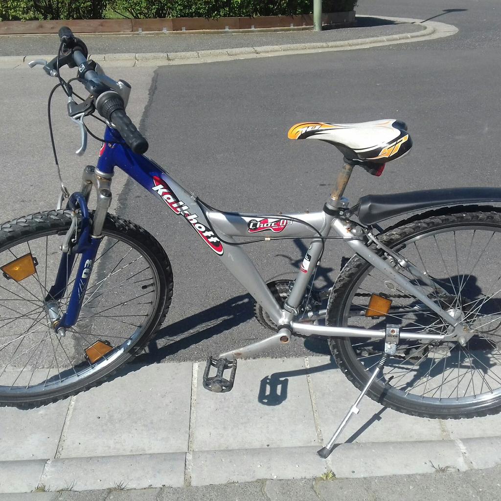 Fahrradanhänger Zoll in 92286 Rieden für 50,00 € zum Verkauf | Shpock DE