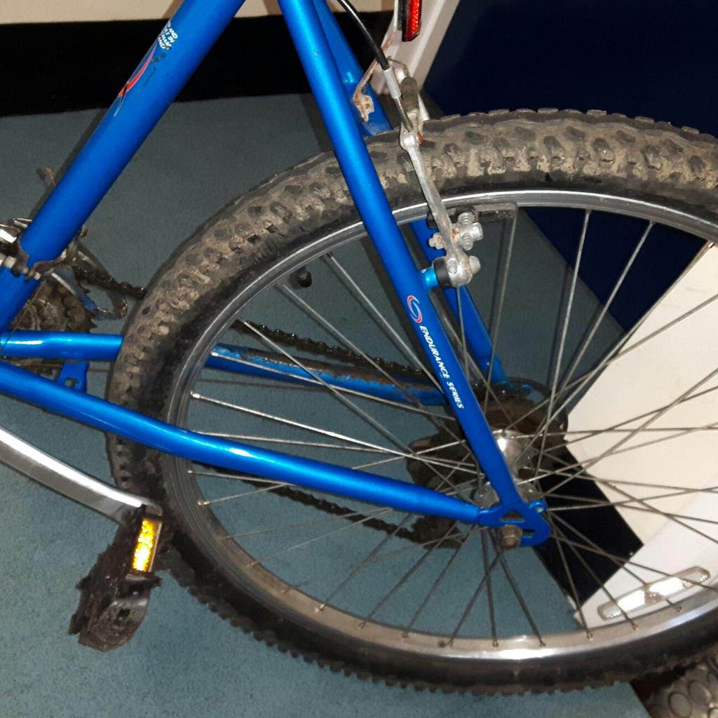 BLUE RALEIGH CYCLONE SE MOUNTAIN BIKE in E17 London Borough of Waltham ...