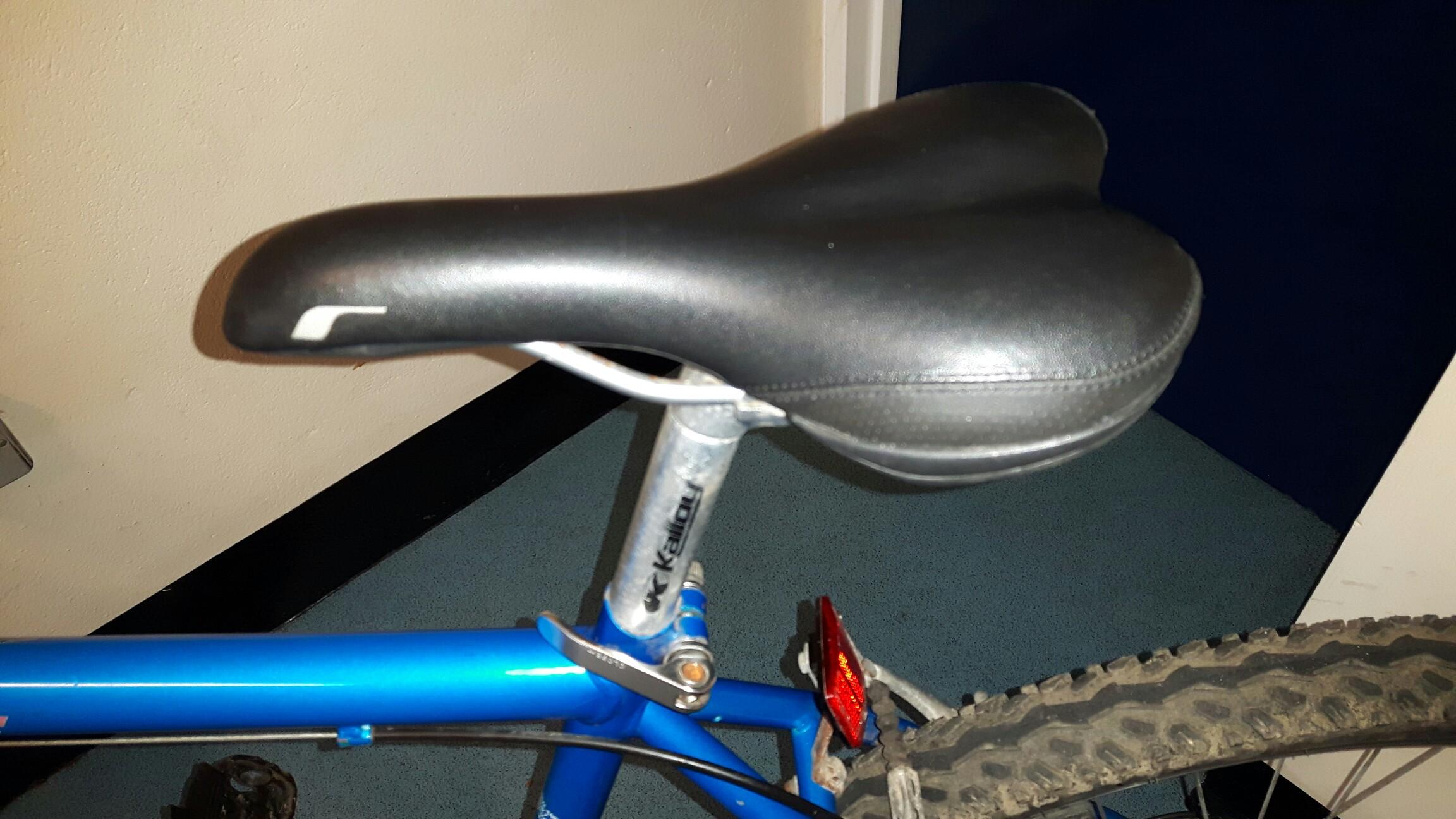 BLUE RALEIGH CYCLONE SE MOUNTAIN BIKE in E17 London Borough of Waltham ...