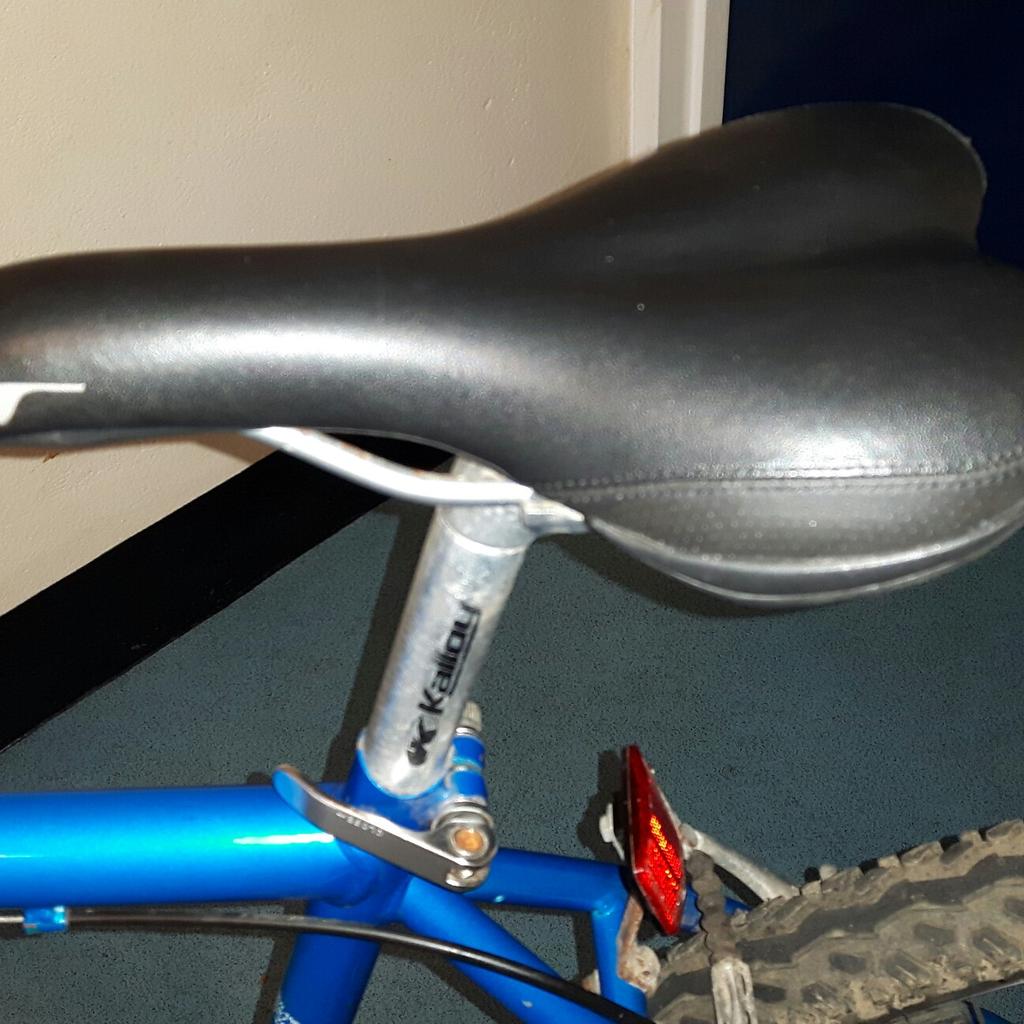 BLUE RALEIGH CYCLONE SE MOUNTAIN BIKE in E17 London Borough of Waltham ...