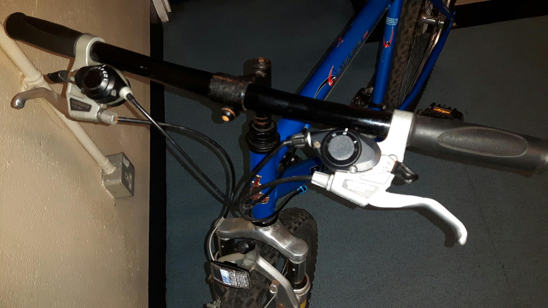 BLUE RALEIGH CYCLONE SE MOUNTAIN BIKE in E17 London Borough of Waltham ...