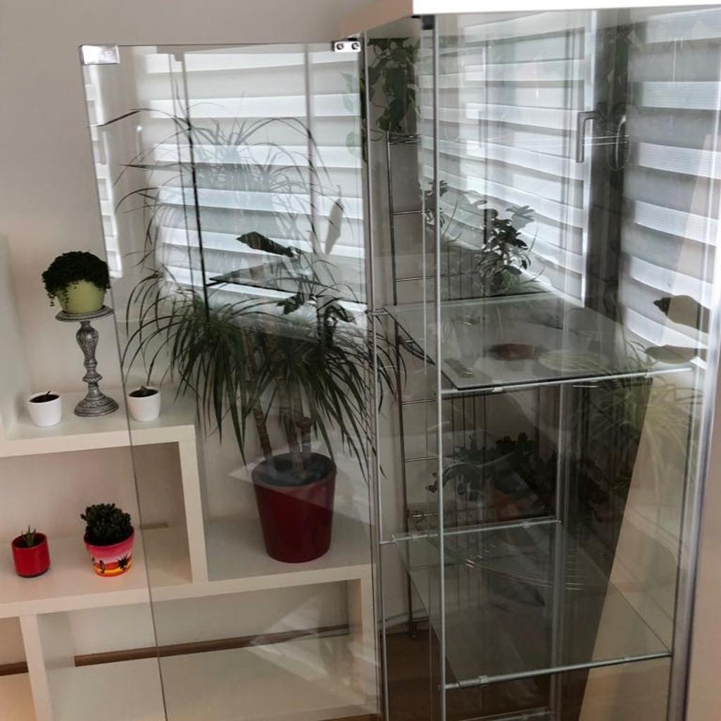 IKEA DETOLF Vitrine 43x163x37 cm weiB in 71067 Sindelfingen fur 45 00 zum Verkauf Shpock DE
