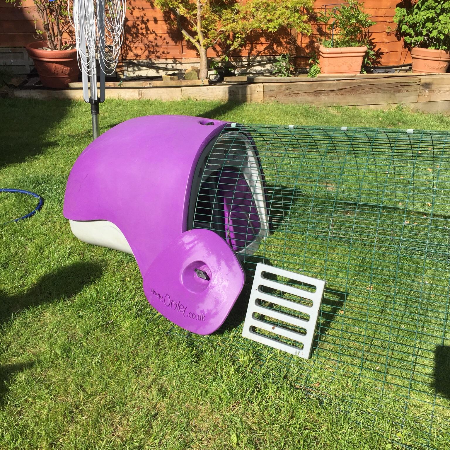 Omlet Eglu Chicken Run Purple in CR8 London for £220.00 for sale | Shpock